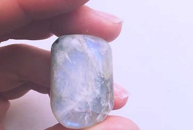 Crystal Healer Tamara Driessen, AKA Wolf Sister