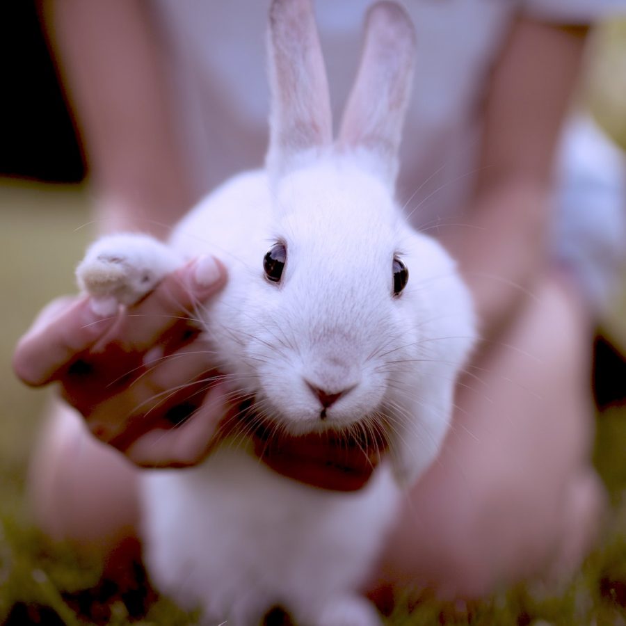 Spring Equinox Astrology – The Sun At 0º Aries